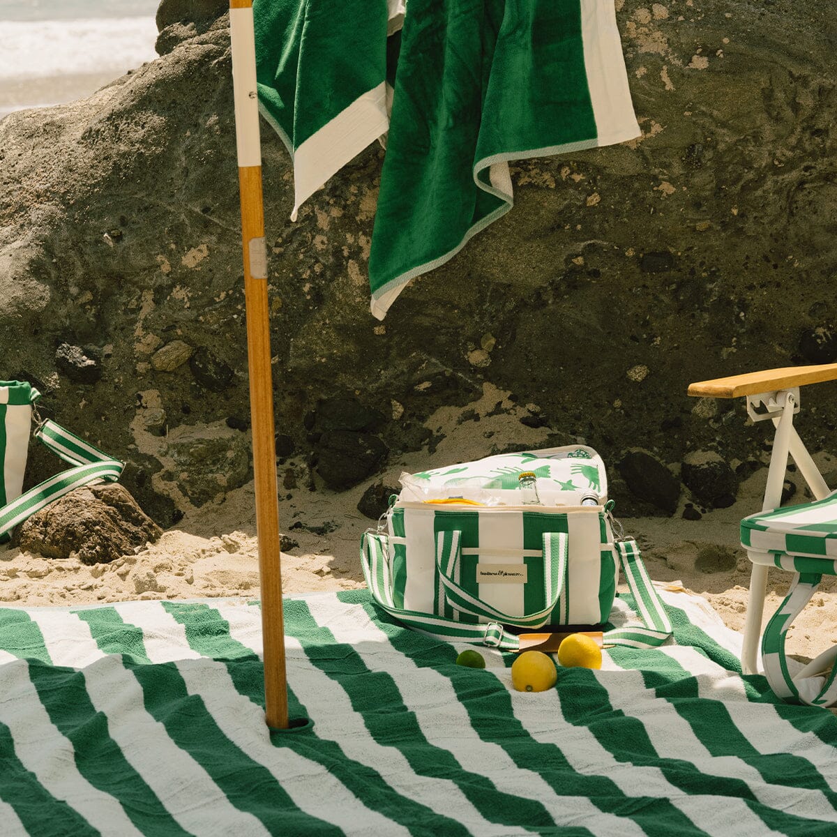 PREMIUM COOLER BAG | Crew Canyon Green Stripe – Darling & Domain